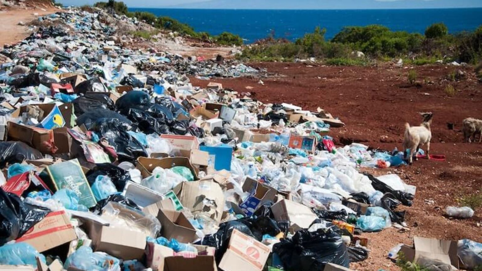 How Long Does It Take For Waste To Decompose In Landfills