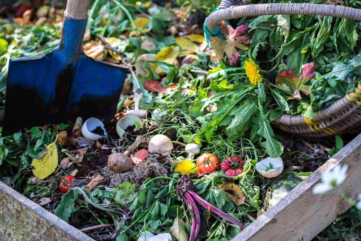 Tools for Organic Waste Management
