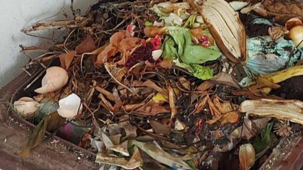 What Is The Difference Between Organic And Inorganic Waste
